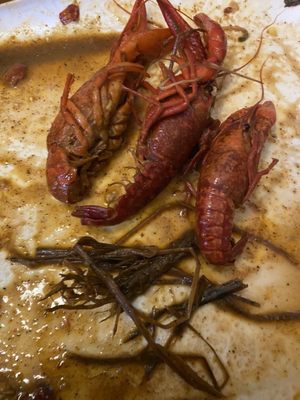 DIP SEAFOOD - MUDBUGS - Updated October 2025 - 47 Photos & 46 Reviews - 1870 Dauphin Island Pkwy ...