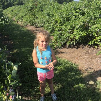 BRYANT BLUEBERRY FARM - Updated July 2025 - 38 Photos - 6900 Oak Park ...