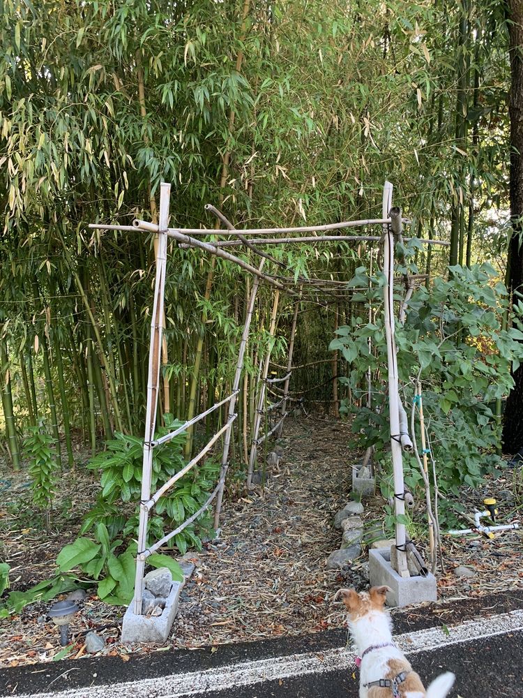 BRIDGEVIEW RV RESORT - Updated August 2025 - 27 Photos & 42 Reviews ...