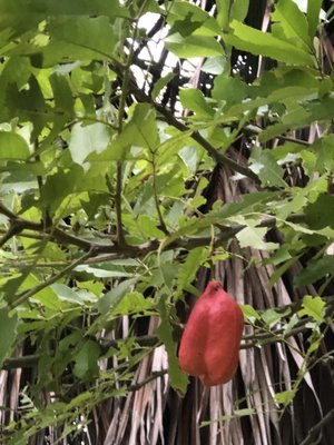 ANNIE BECK PARK - Updated October 2024 - 52 Photos - N Victoria Park Rd ...