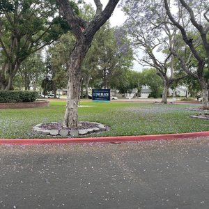 EL DORADO PARK GOLF COURSE - 163 Photos & 132 Reviews - 2400 N ...