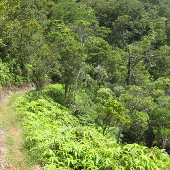 POAMOHO RIDGE TRAIL - Updated December 2025 - 98 Photos & 12 Reviews ...