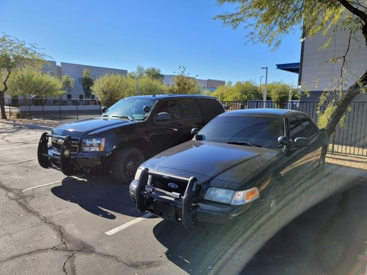 DELTA SECURITY SERVICES - Updated December 2024 - 33 Photos - 8055 N ...