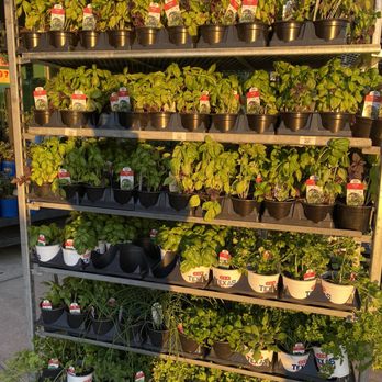 H-E-B PLUS! - Updated January 2026 - 454 Photos & 197 Reviews - 14028 N ...