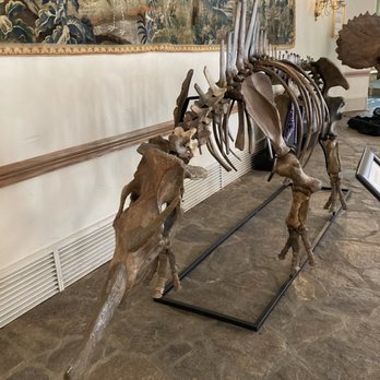 WHITE OAK - Updated September 2025 - 76 Photos & 11 Reviews - 581705 ...