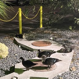 RICKY THAI BISTRO - Updated December 2025 - 441 Photos & 774 Reviews ...