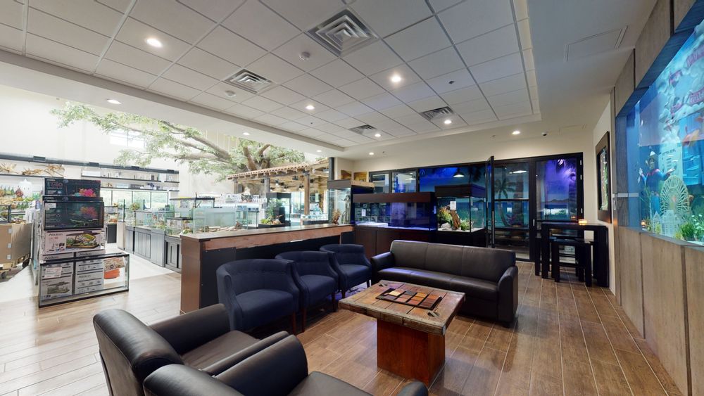 FISH GALLERY - Updated January 2026 - 61 Photos & 82 Reviews - 15003 ...