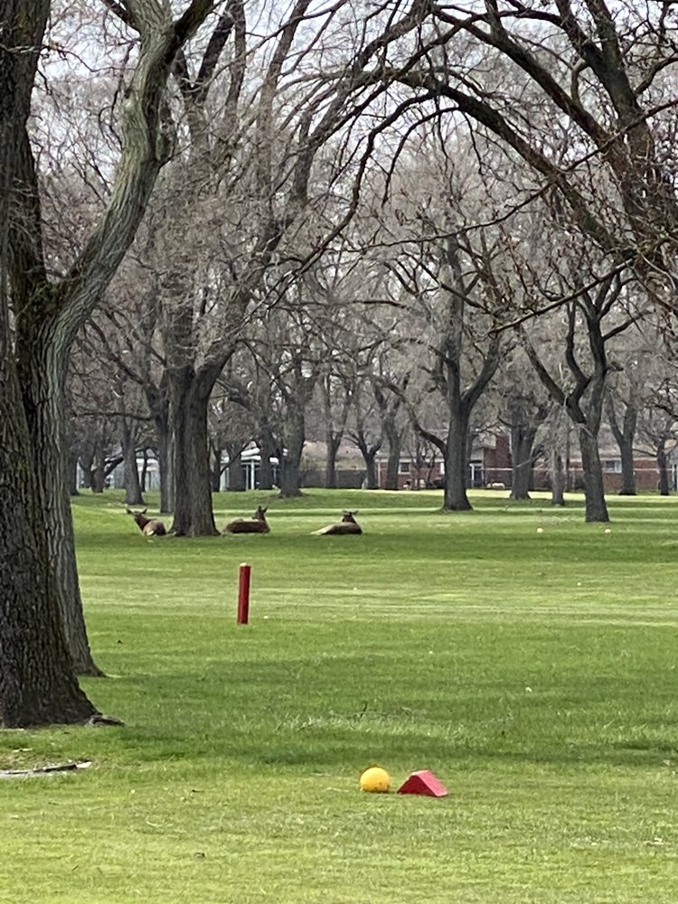 MAPLE LANE GOLF CLUB - Updated May 2024 - 22 Photos & 30 Reviews ...