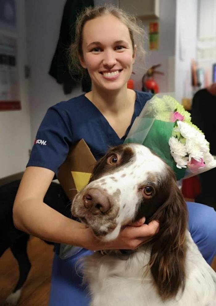 LYNWOOD VETERINARY - Updated July 2025 - 19 Station Road, Verwood ...