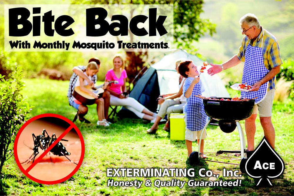 LOOKOUT PEST CONTROL - Updated October 2025 - 23 Photos & 38 Reviews ...