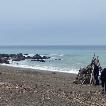 SHAMEL PARK - Updated January 2026 - 124 Photos & 32 Reviews - 5455 ...