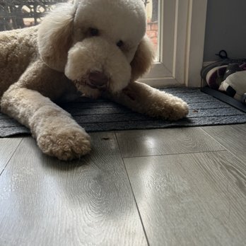 PETSMART - Updated August 2024 - 109 Photos & 195 Reviews - 2465 East ...