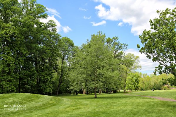 MAINLAND GOLF COURSE - Updated December 2025 - 11 Photos & 24 Reviews ...