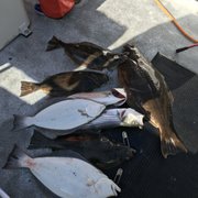 SOLEMAN SPORTFISHING - 92 Photos & 68 Reviews - Fisherman's Wharf, San ...