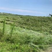 CASTLE BAY GOLF COURSE - 16 Photos & 11 Reviews - Golf - 107 Links Ct ...