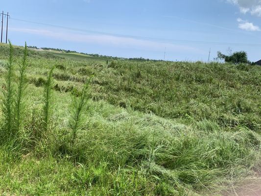 CASTLE BAY GOLF COURSE - Updated December 2025 - 10 Photos & 16 Reviews ...