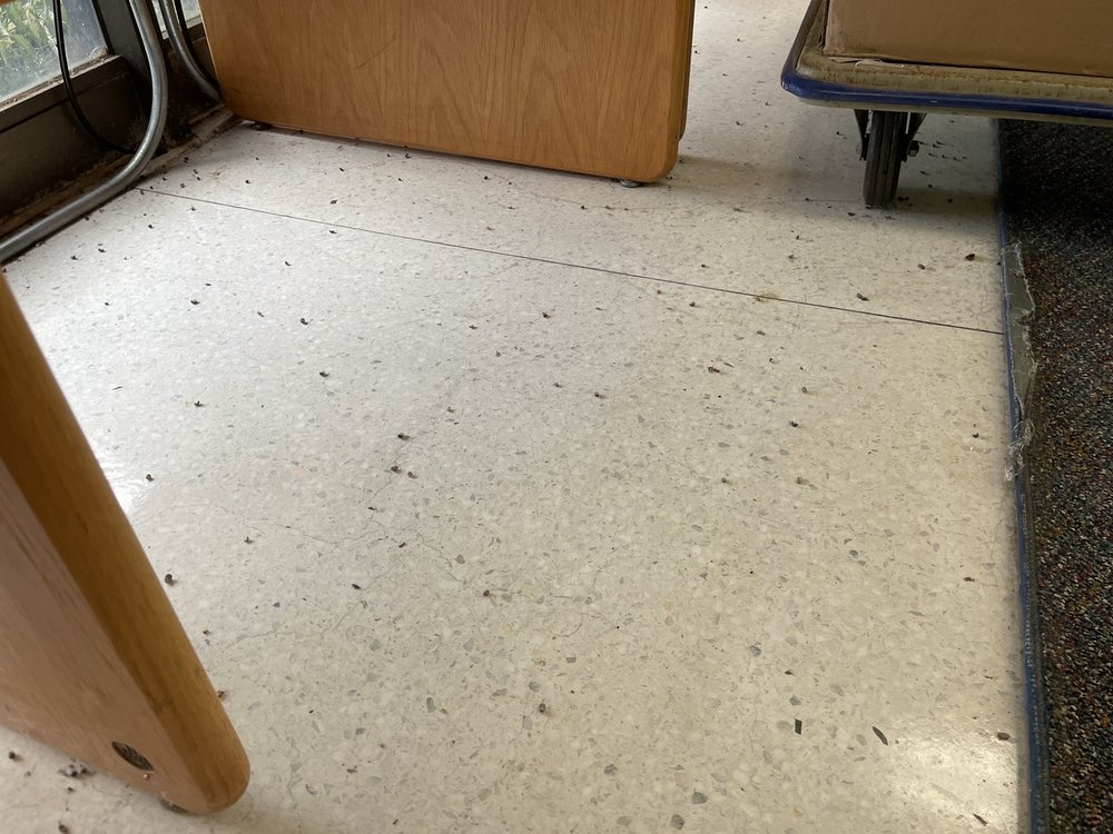 FORT SHAFTER LIBRARY - Updated August 2025 - 10 Reviews - 181 Chapplear ...