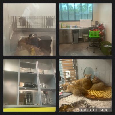 ARIZONA HUMANE SOCIETY - PAPAGO PARK CAMPUS - Updated May 2024 - 5501 E ...