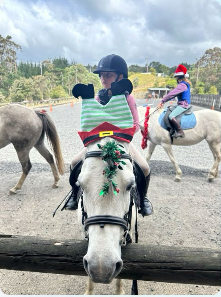 SONSHINE RANCH - Updated October 2025 - 10 Photos - 223 Creightons Rd ...