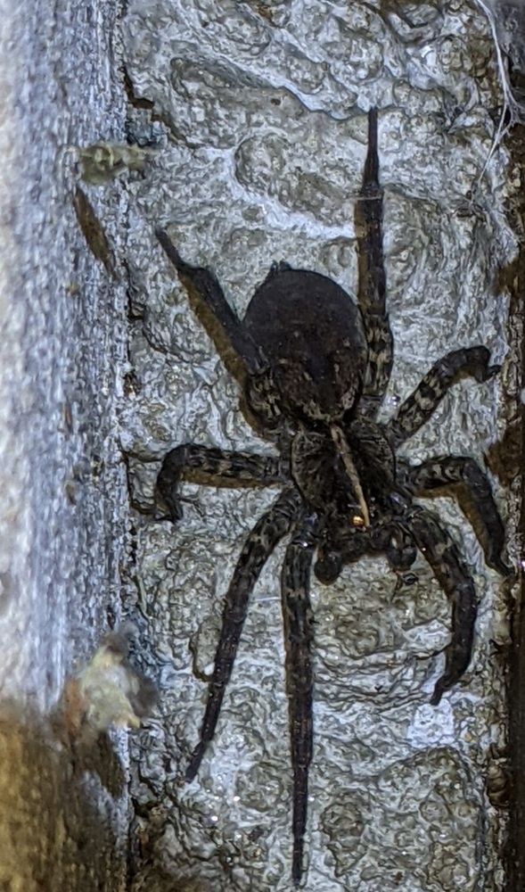 BAKER TERMITE & PEST SOLUTIONS - Updated July 2025 - 26 Photos - Warsaw ...