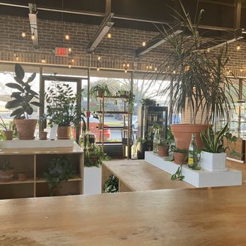 NATIVE COFFEE - Updated December 2025 - 322 Photos & 247 Reviews - 4319 ...