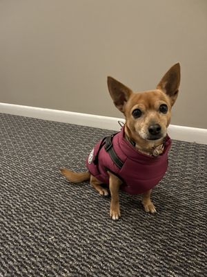 BARK PLACE - Updated December 2025 - 81 Photos & 93 Reviews - 1775 W ...