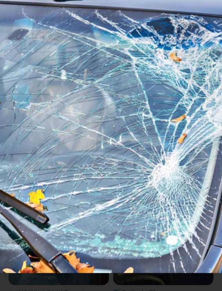 ALPHA AUTO GLASS - Updated December 2025 - Request a Quote - Toronto ...