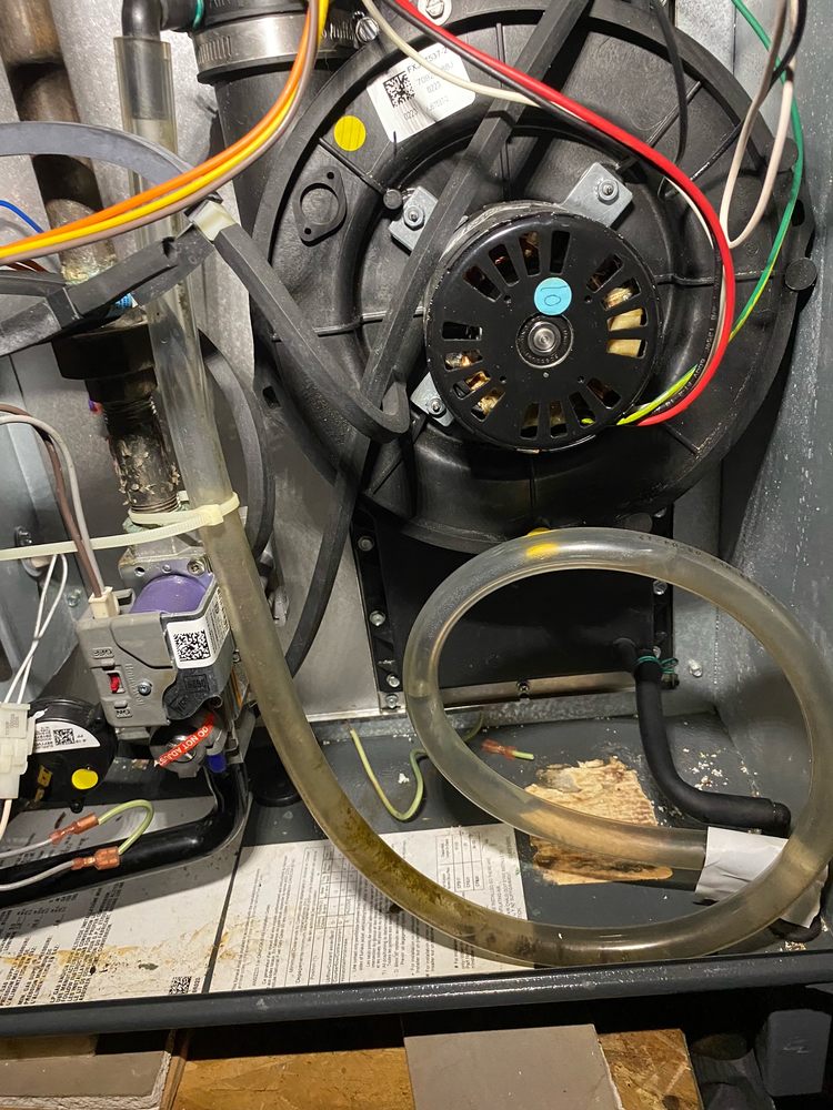 HOMEPRO INSPECTIONS OF RHODE ISLAND - Updated February 2026 - 61 Reviews - 615 Jefferson Blvd ...