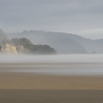 ARCADIA BEACH STATE RECREATION SITE - Updated October 2025 - 93 Photos ...