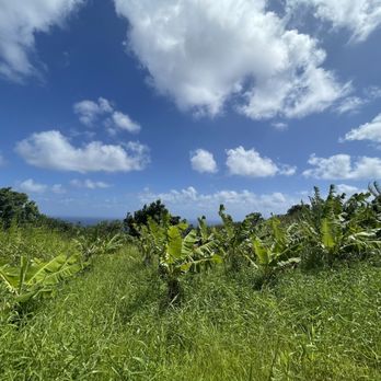 ONO ORGANIC FARMS - Updated August 2024 - 89 Photos & 47 Reviews - 149 ...