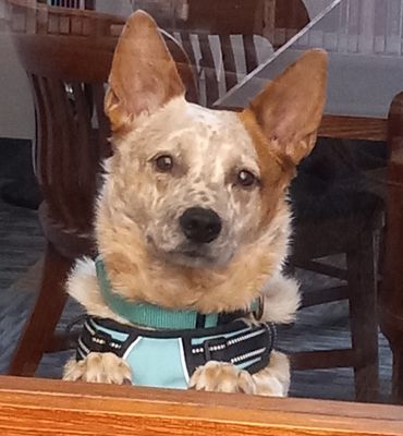 KOELBEL LIBRARY - Updated December 2025 - 47 Photos & 37 Reviews - 5955 ...