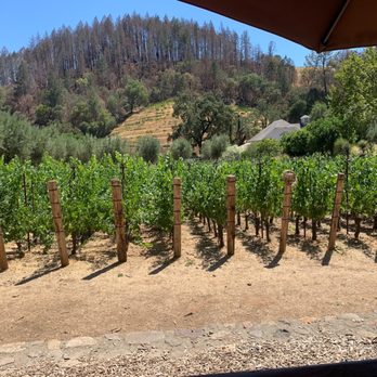 SPRING MOUNTAIN VINEYARD - Updated September 2024 - 164 Photos & 91 ...