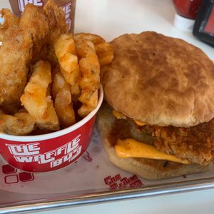 THE WAFFLE BUS - 806 Photos & 679 Reviews - 1835 N Shepherd Dr, Houston ...