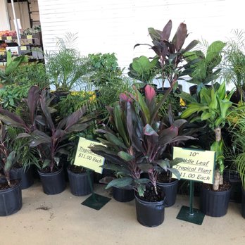 PRODUCE JUNCTION - Updated October 2025 - 33 Photos & 48 Reviews - 1350 ...