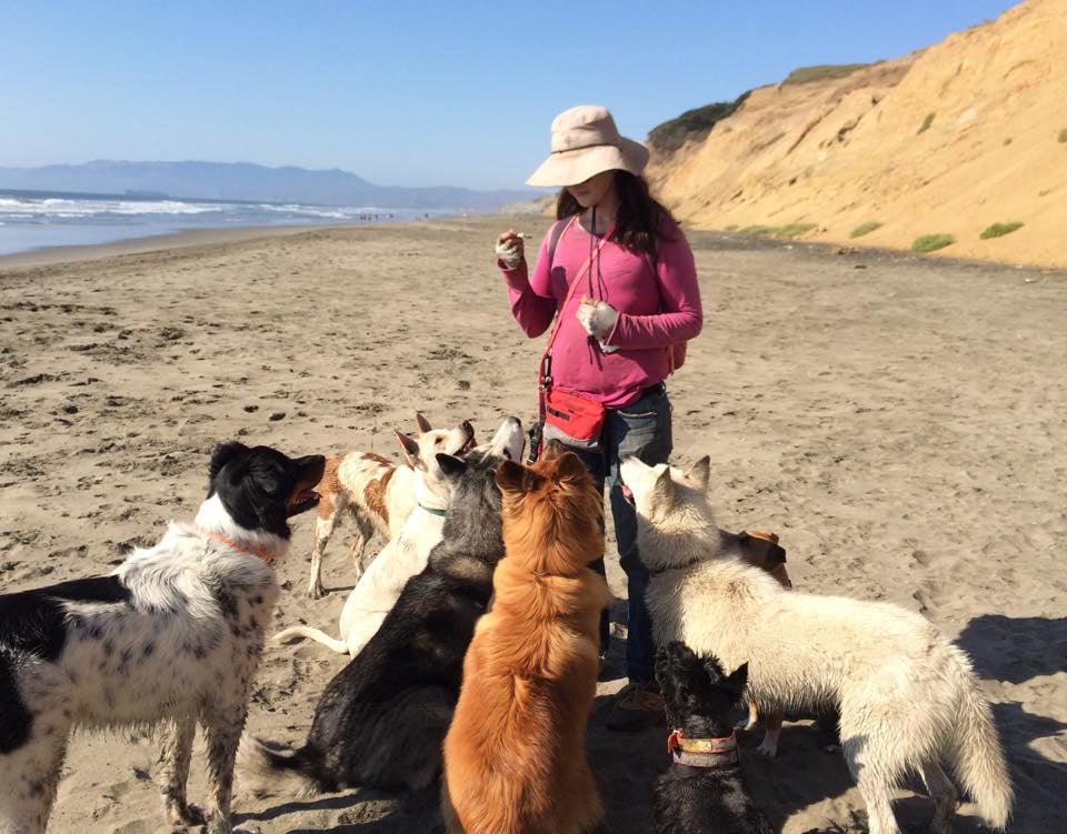 ONCE UPON A DOG WALK - Updated December 2025 - 12 Photos - San ...