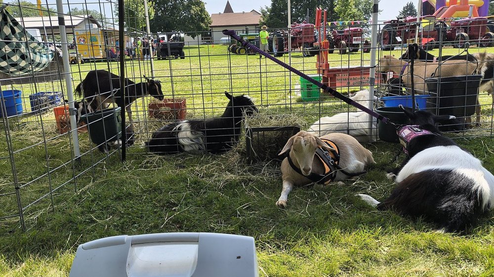 HAPPY LITTLE HOOVES FARM - Updated December 2025 - 18187 Freeport Rd ...