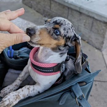 POINT LOMA SEAFOODS - Updated August 2024 - 3023 Photos & 2763 Reviews ...