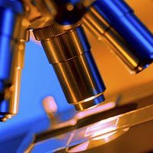 MIDWEST LABORATORIES - Updated October 2025 - 13611 B St, Omaha ...