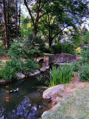 THE DUCK POND - Updated December 2025 - 27 Photos & 21 Reviews - 70 ...