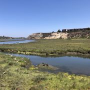 BACK BAY LOOP TRAIL - 437 Photos & 152 Reviews - 600 Shellmaker Rd ...