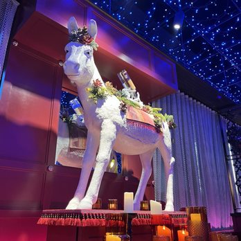 GHOST DONKEY - OMAHA - Updated May 2025 - 36 Photos & 14 Reviews - 910 ...