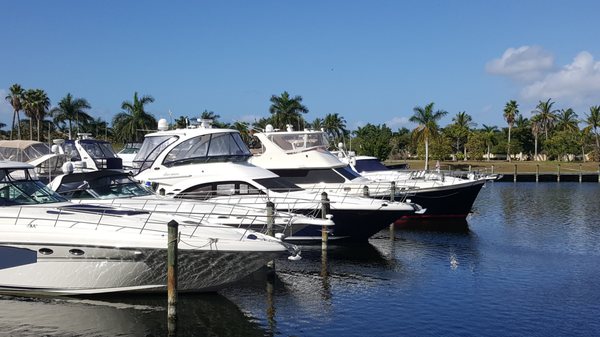 TOM CREA - ROYAL SHELL REAL ESTATE - Updated July 2024 - Contact Agent ...