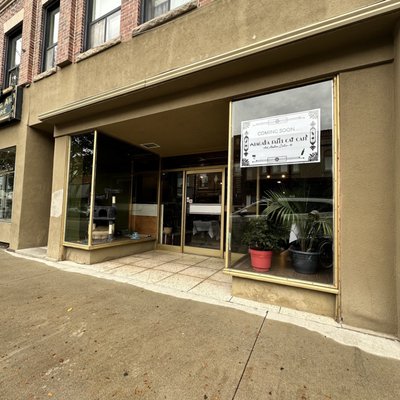 NIAGARA FALLS CAT CAFE - Updated January 2026 - 27 Photos - 4529 Queen ...