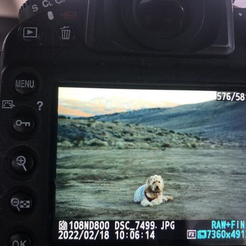 MOON ROCKS - Updated October 2025 - 45 Photos - Reno, Nevada - Active ...
