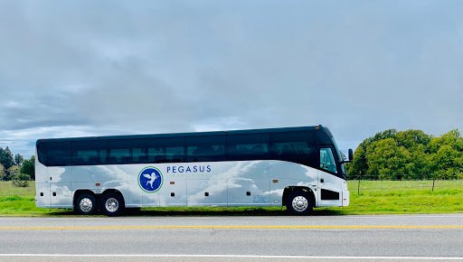 PEGASUS TRANSIT - Updated September 2025 - 77 Photos & 29 Reviews - 210 ...