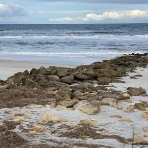 WELAKA STATE PARK - MUD SPRINGS - 10 Photos - Welaka, Florida - Hiking ...