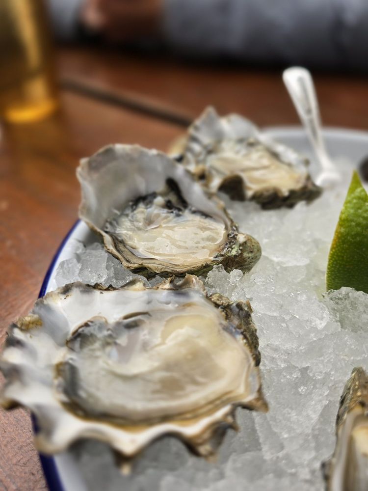 HANDLINE - Updated December 2025 - 650 Photos & 742 Reviews - 935 ...