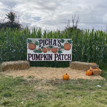 PICHA FARMS - Updated June 2025 - 68 Photos & 36 Reviews - 6502 52nd St ...
