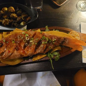 XPERIENCE - Updated November 2024 - 368 Photos & 155 Reviews - 505 ...