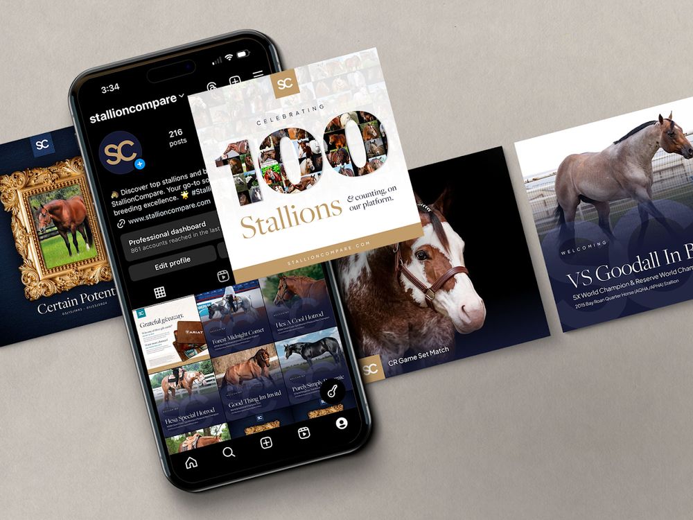 ENVY DESIGN - Updated June 2025 - Request Consultation - 10 Photos ...